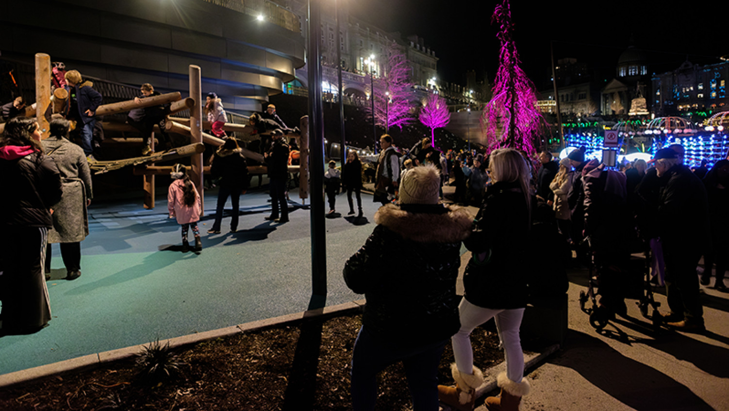 Case Studies | Timberplay Scotland